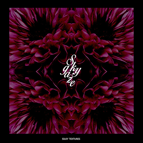 Skygaze - Songs & Albums | Artlist