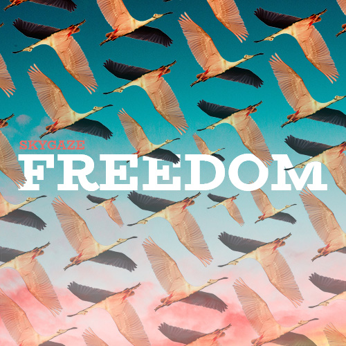 Skygaze - Songs & Albums | Artlist