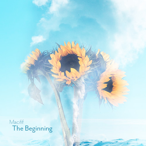 Macifif - Songs & Albums | Artlist