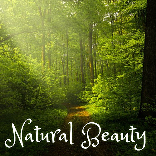 Zac Nelson - Songs & Albums | Artlist