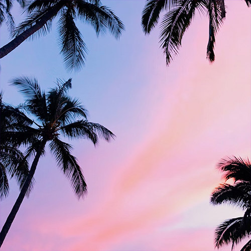 Zac Nelson - Songs & Albums | Artlist