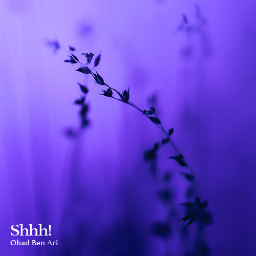 Ohad Ben Ari - Songs & Albums | Artlist