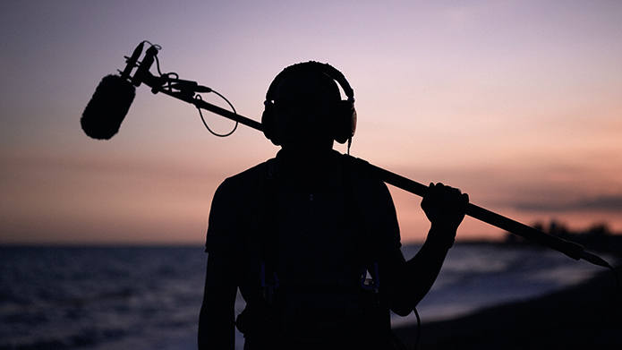 SFX Collection - In the Spotlight | Artlist