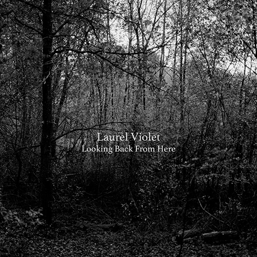 Laurel Violet - Songs & Albums | Artlist