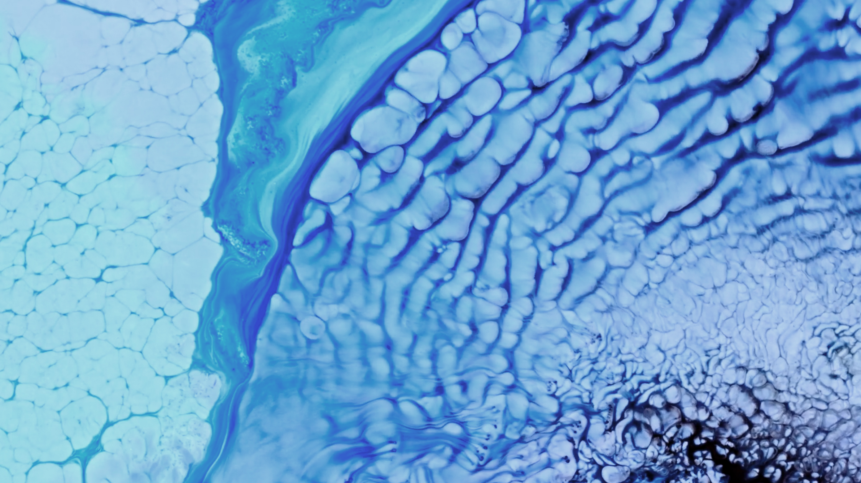 SFX Collection - In the Spotlight | Artlist